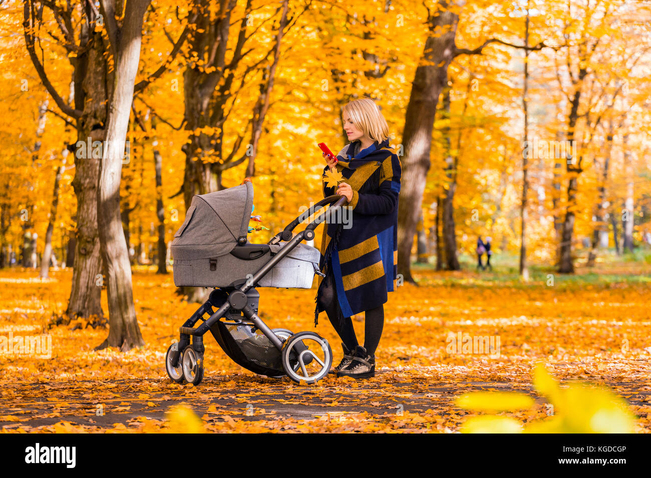 Young mother with a stroller looking at a mobile phone in the park ...