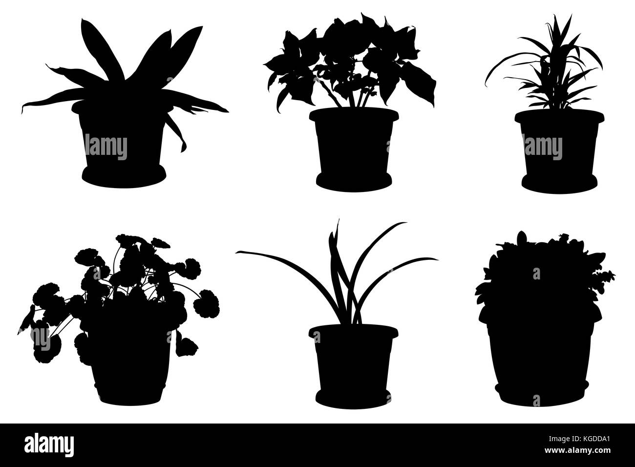 Flowers in pots home Black and White Stock Photos & Images - Alamy