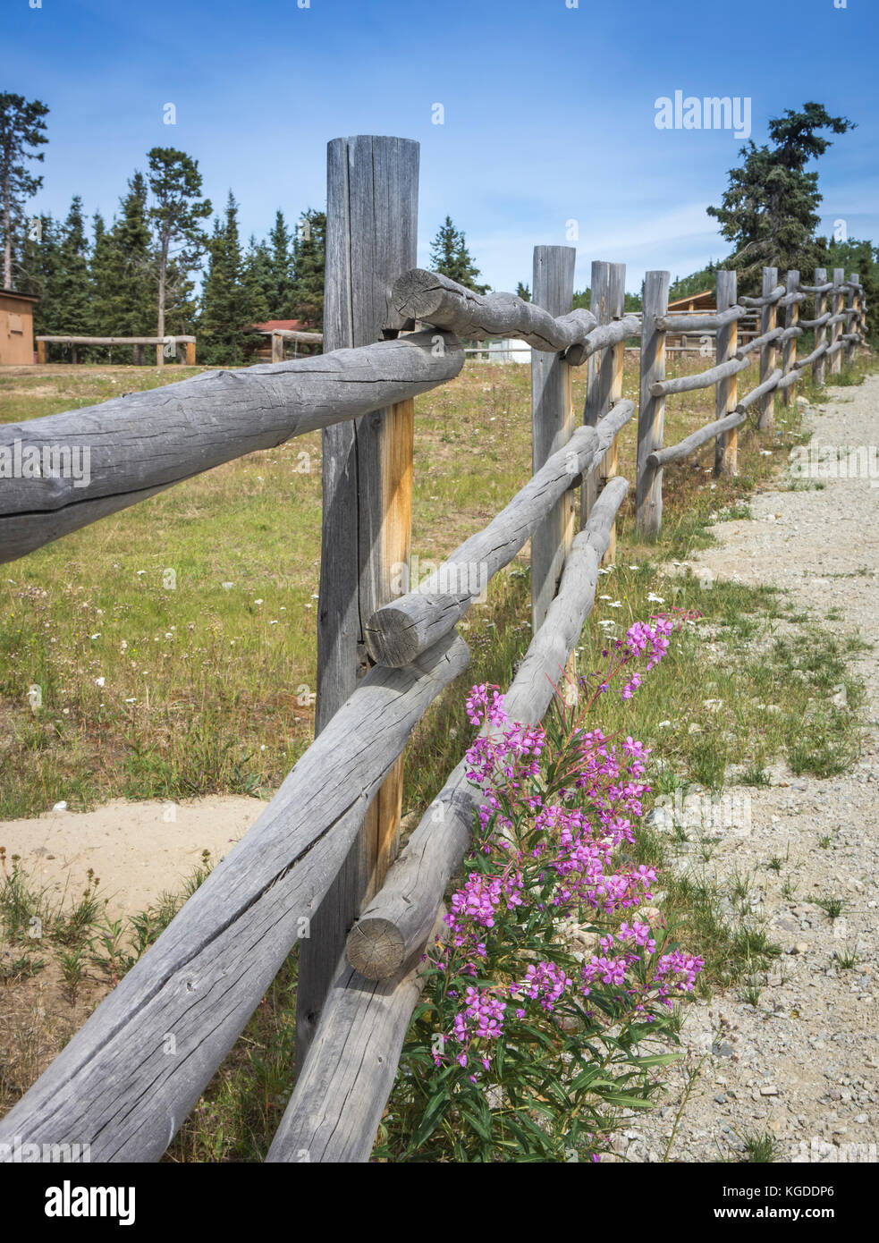 Rustic whole log fence around a horse pasture on a sunny day Stock ...