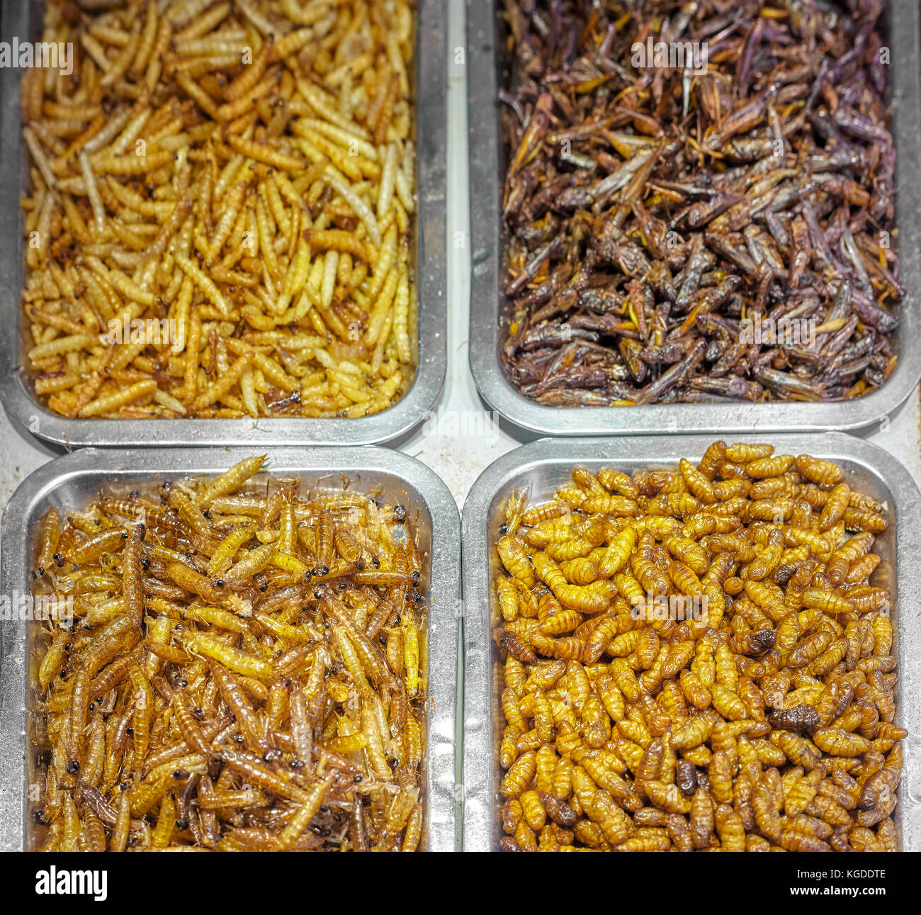 Fried worm hi-res stock photography and images - Alamy