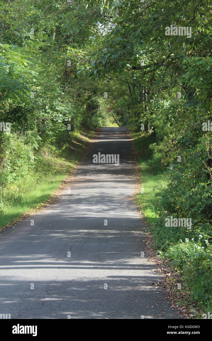 Trees at the beginning of Fall Stock Photo - Alamy