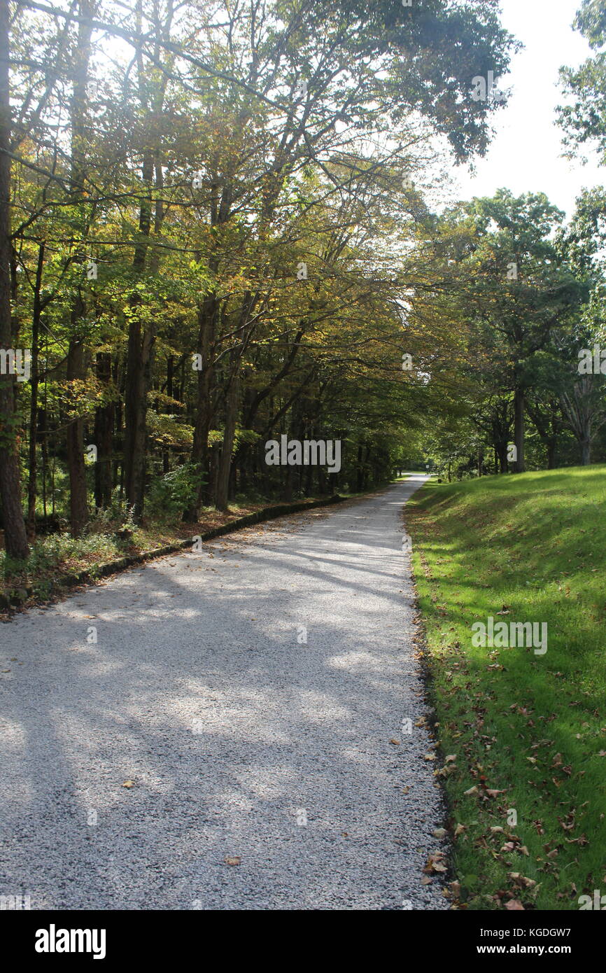 Trees at the beginning of Fall Stock Photo - Alamy