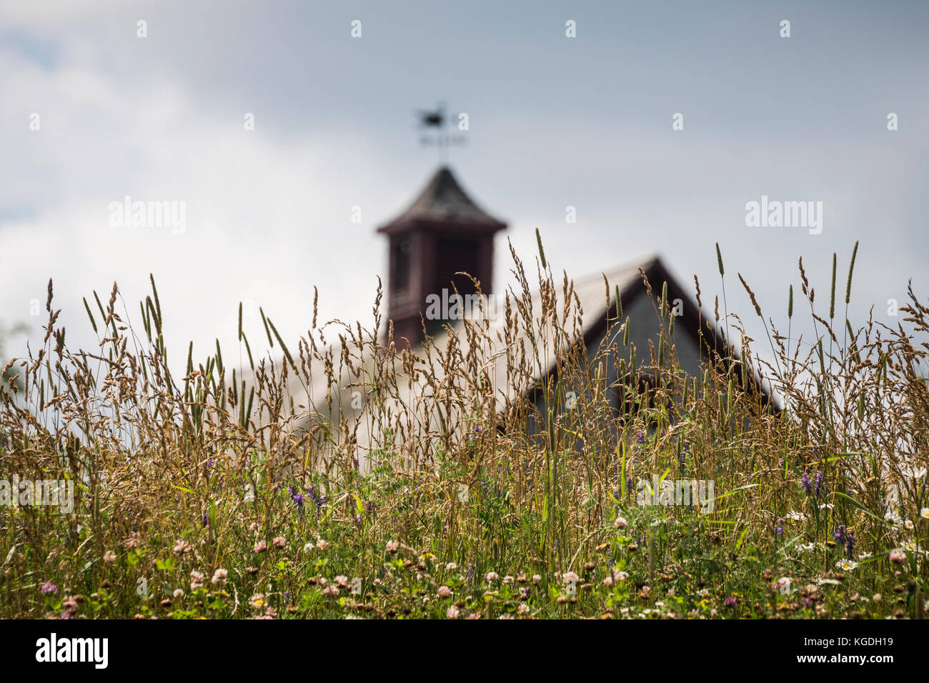 The Ross Farm Museum is a living heritage farm on the South Shore of ...
