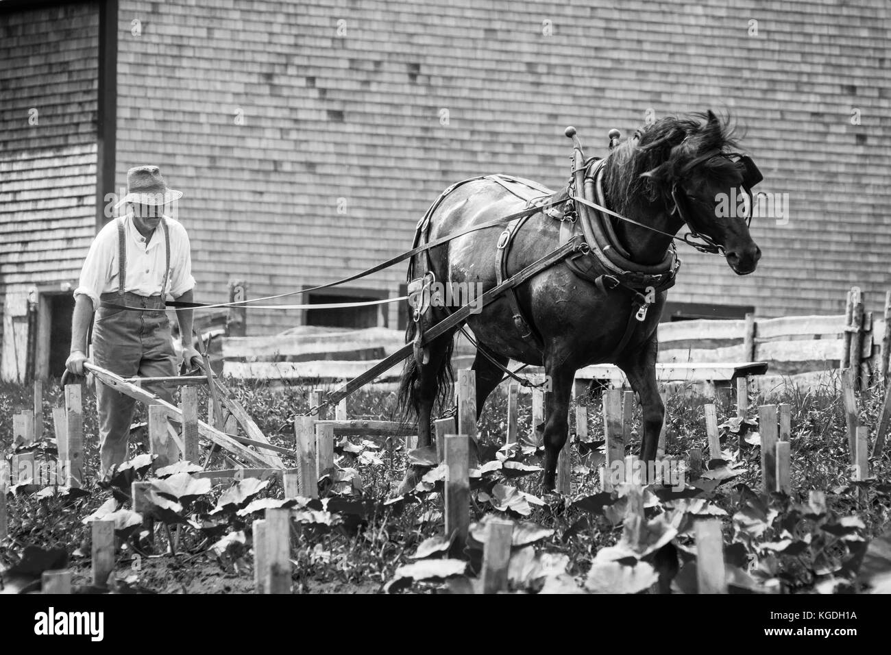 The Ross Farm Museum is a living heritage farm on the South Shore of ...