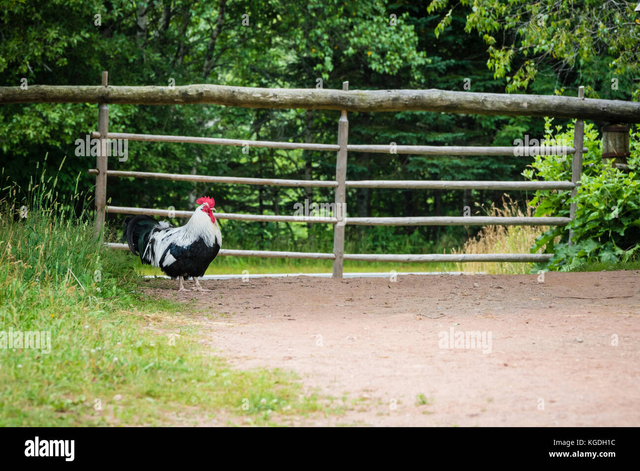 The Ross Farm Museum is a living heritage farm on the South Shore of ...