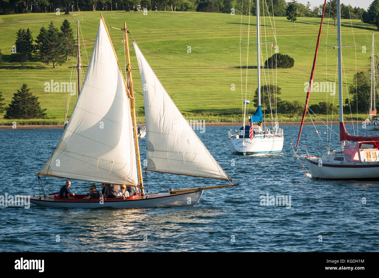 A small open cockpit sloop sailing in the harbour at Lunenburg, Nova ...