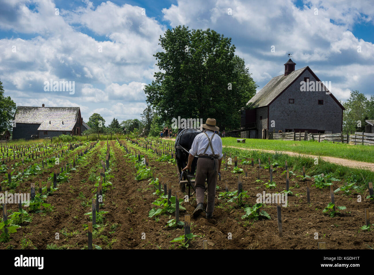 The Ross Farm Museum is a living heritage farm on the South Shore of ...