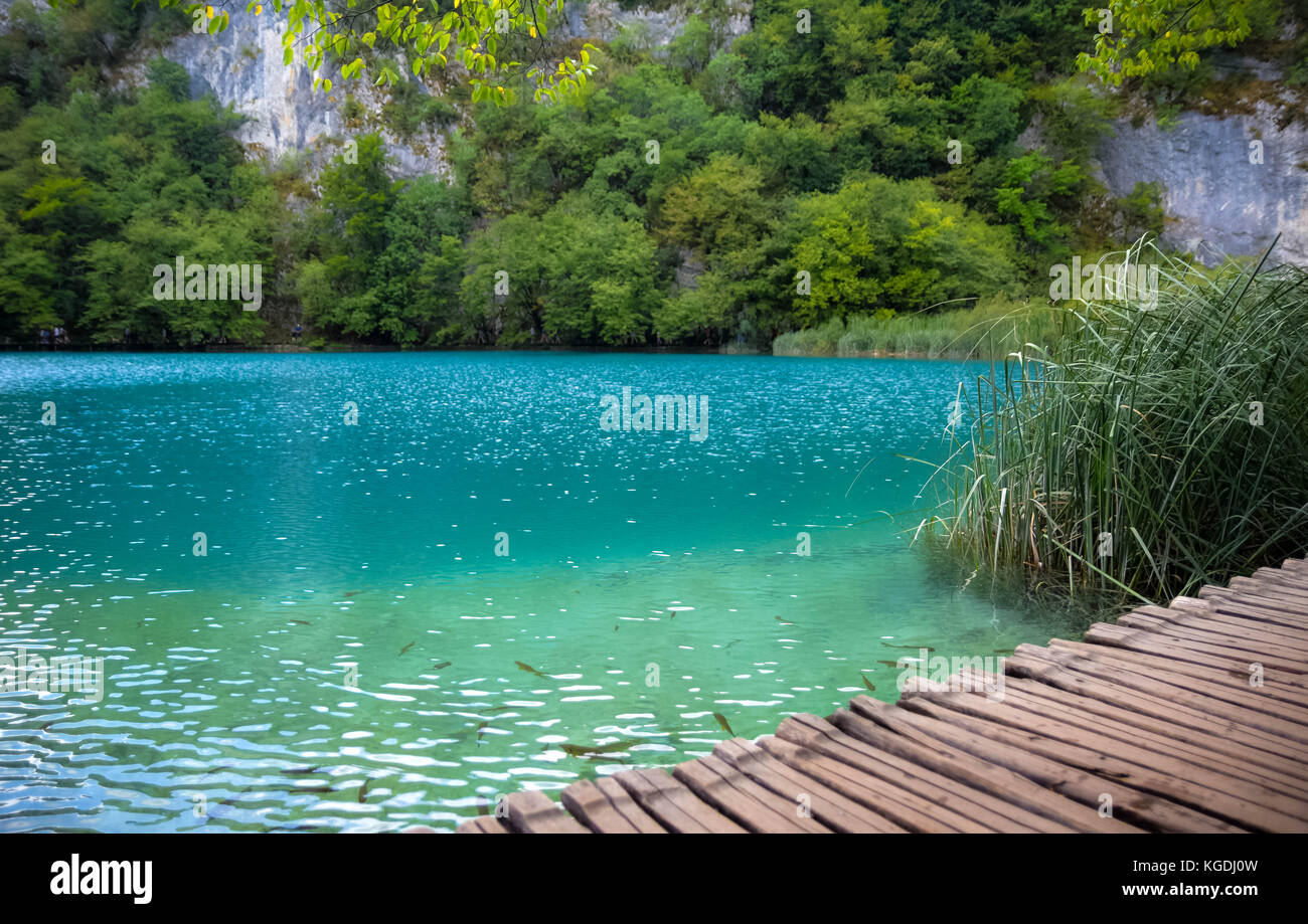 Plitvice Lakes Wildlife High Resolution Stock Photography and Images ...