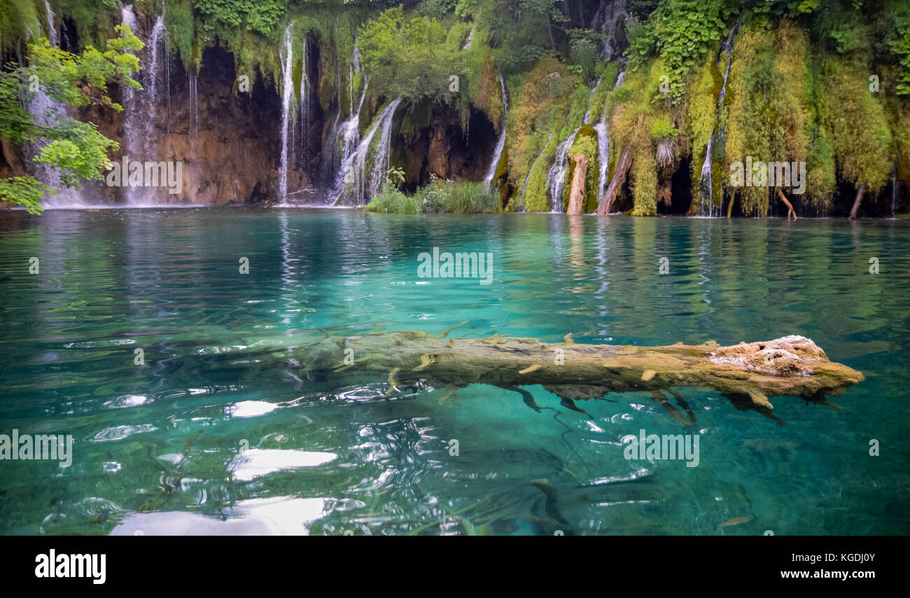 Log in clear water Stock Photo - Alamy