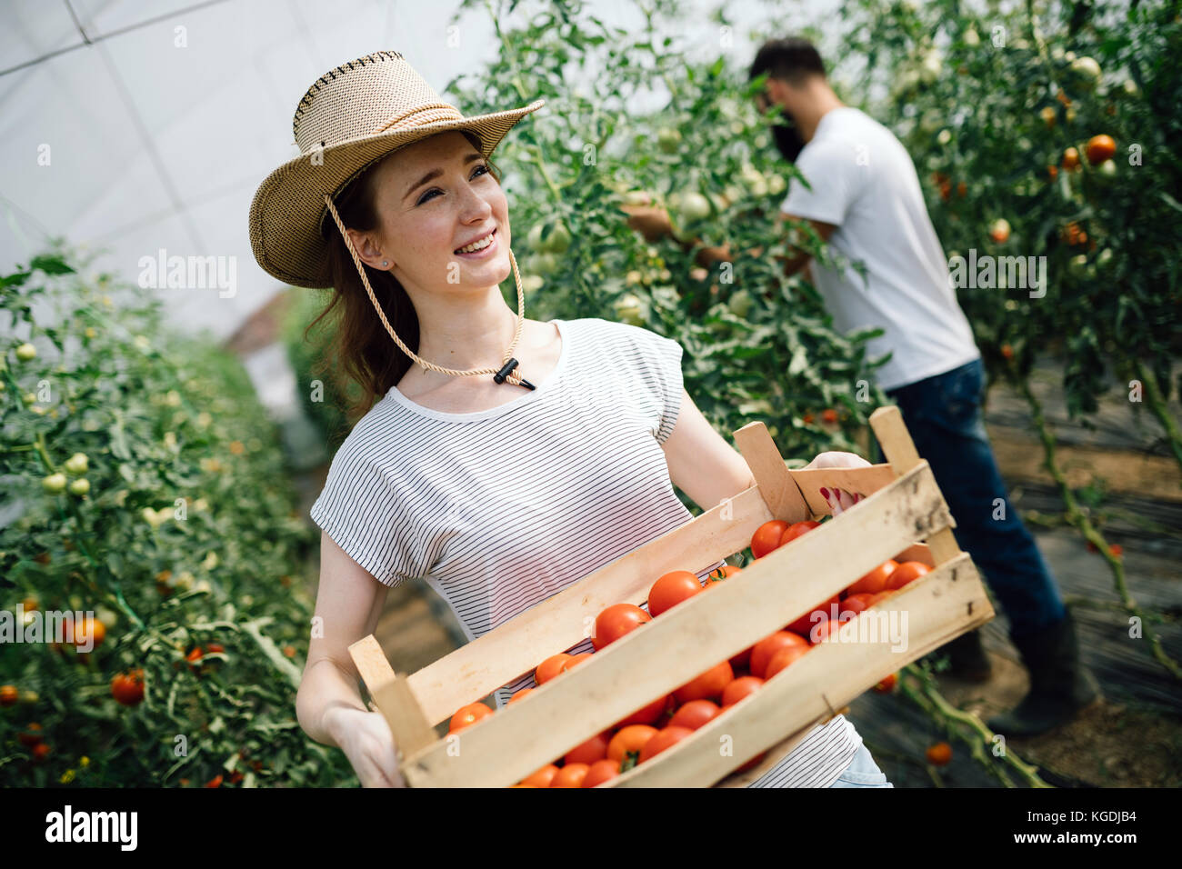 Attractive happy female farmer working in greenhouse Stock Photo - Alamy