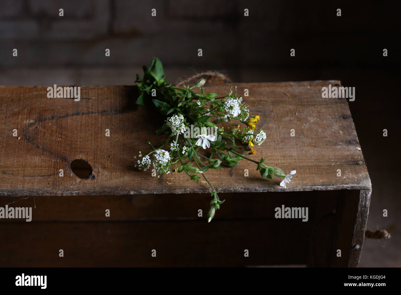 Posy flowers hi-res stock photography and images - Alamy