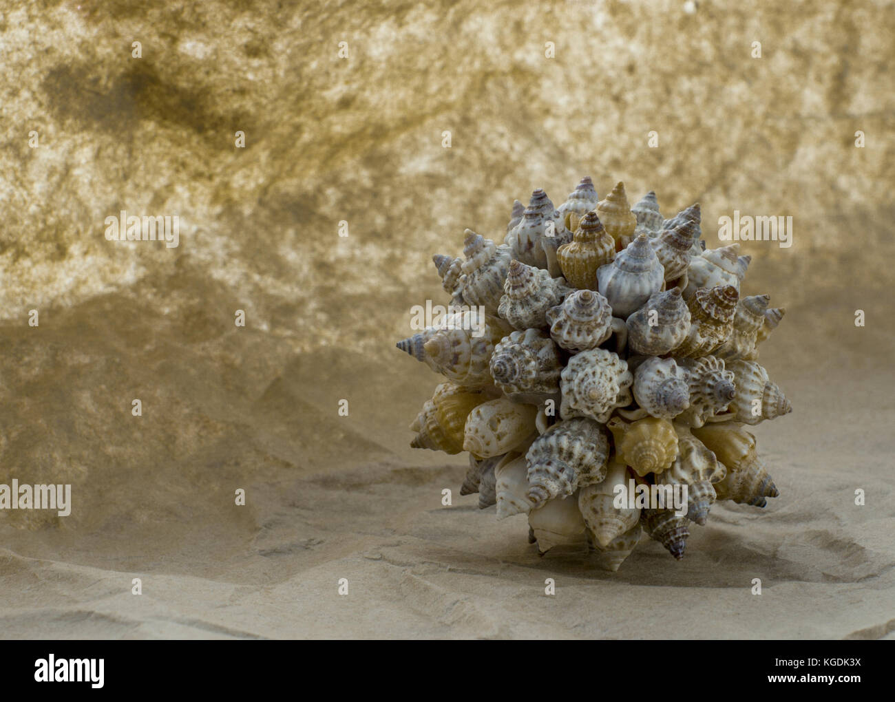 Ball oyster hi-res stock photography and images - Alamy