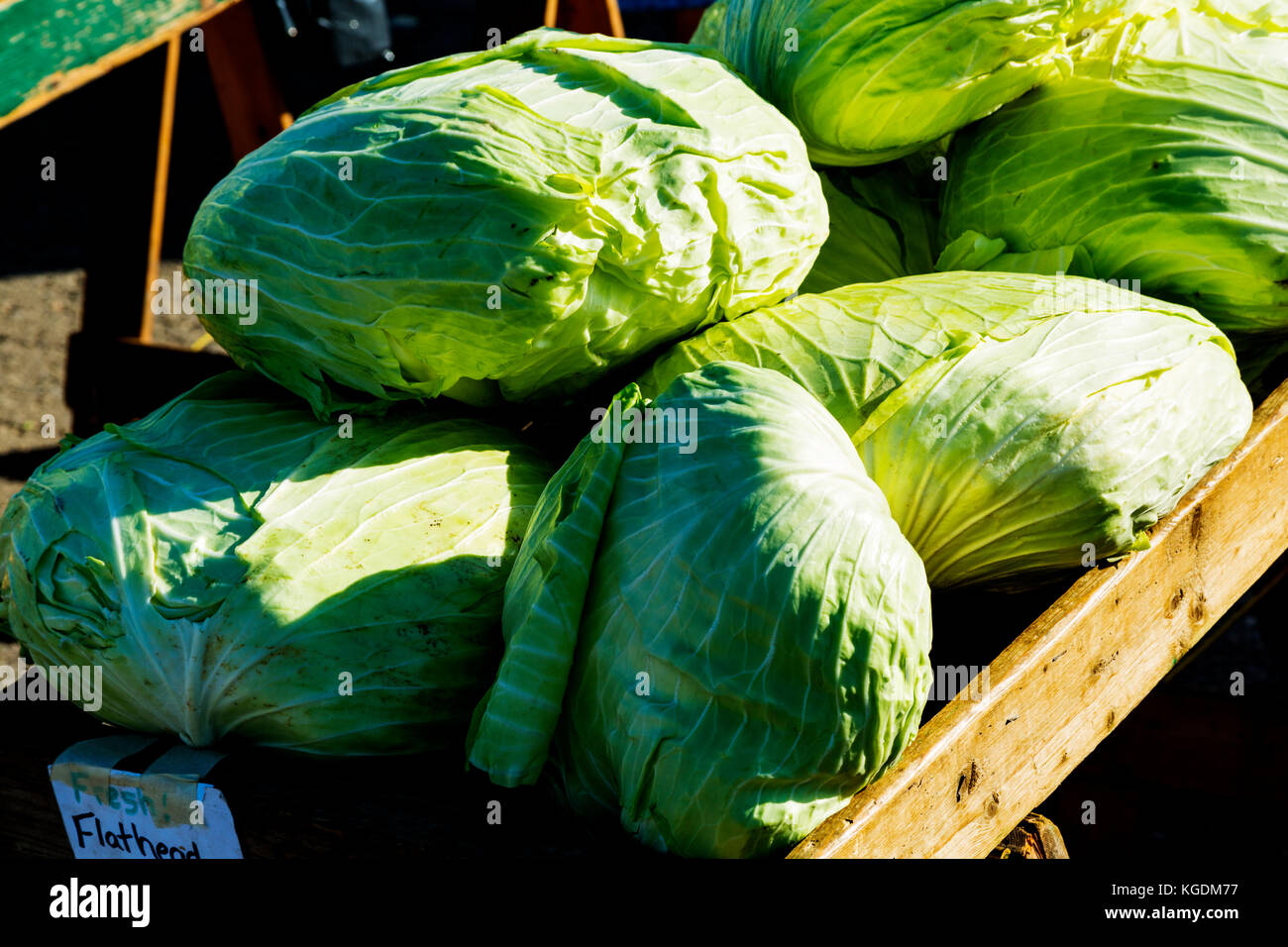 Flat head cabbage for sale at market stand. St. Jacobs Market Ontario ...