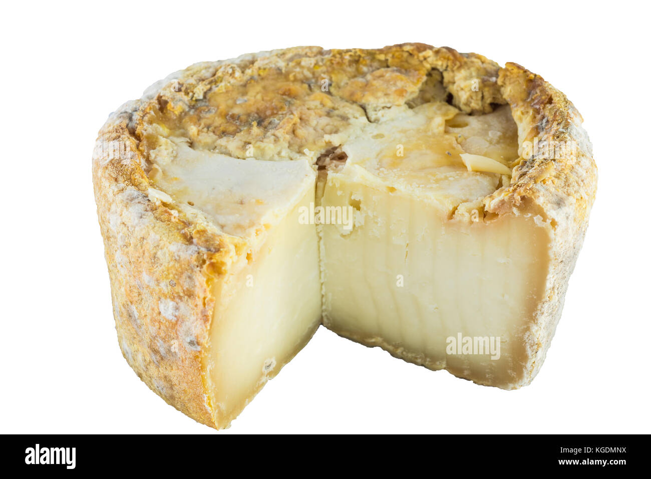 The form of hard cheese of a bloomy rind goat's milk, frost crust ...