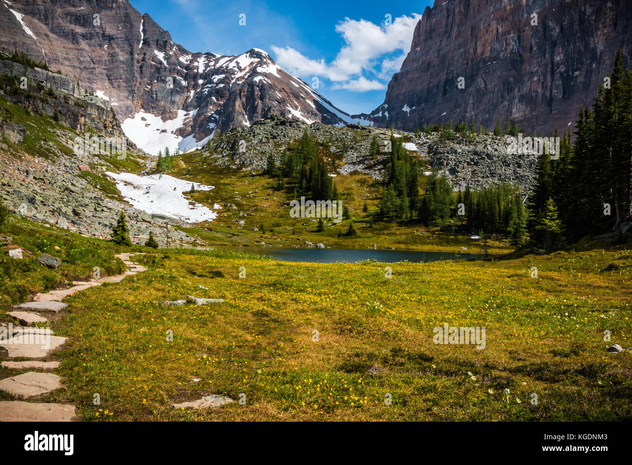 Stone Path winds its way to Opabin Lake Stock Photo - Alamy