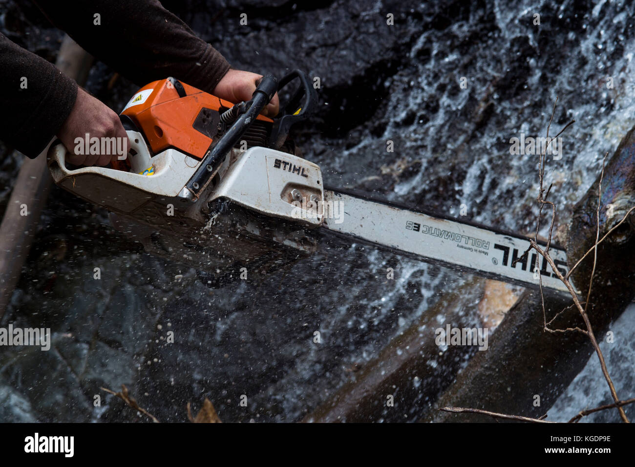 Clearing Downed Trees Stock Photo - Alamy