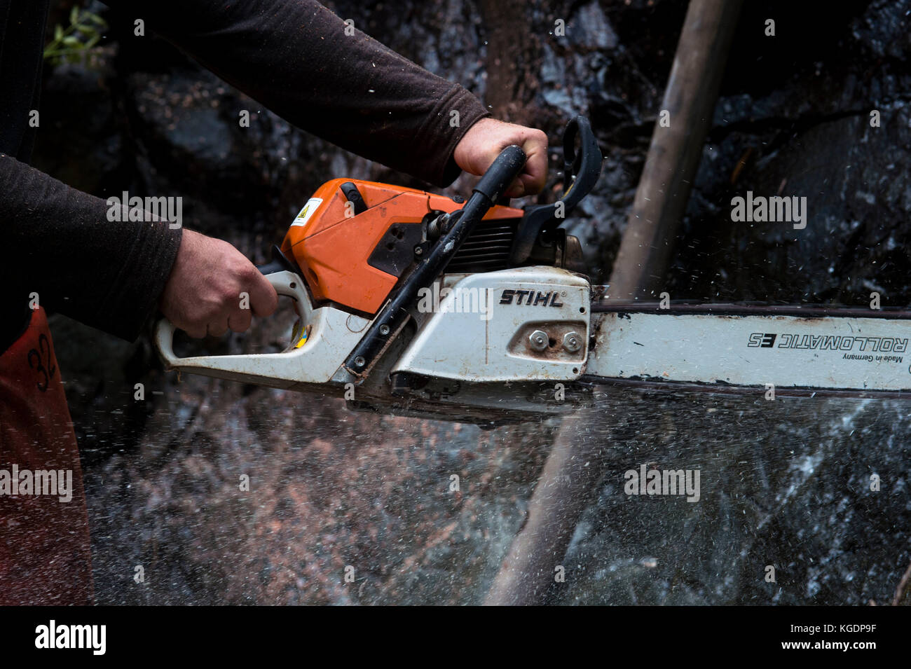 Clearing Downed Trees Stock Photo - Alamy