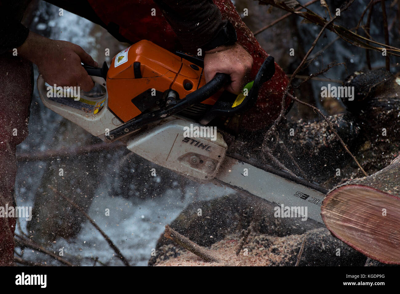 Clearing Downed Trees Stock Photo - Alamy