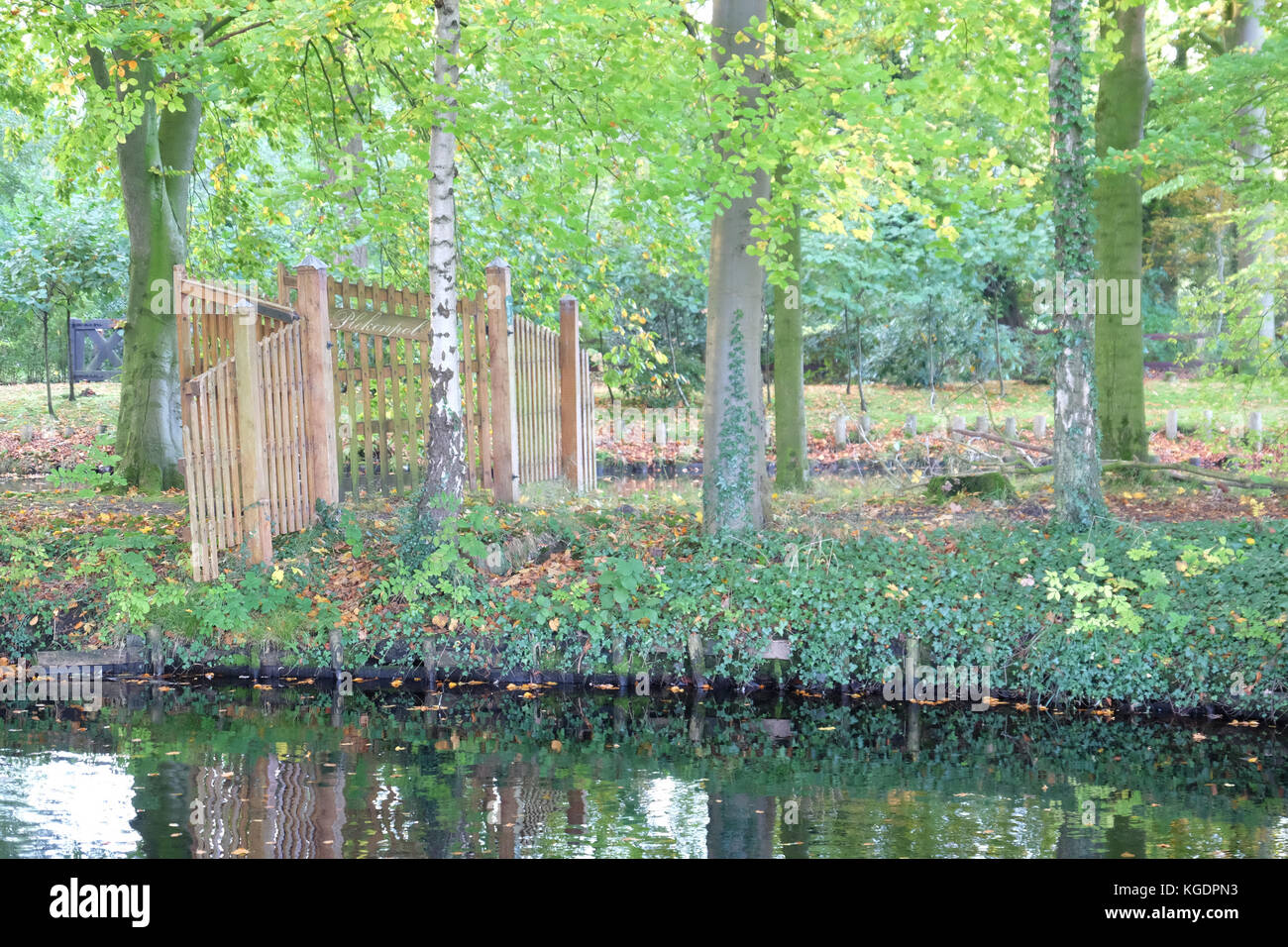 forest in the netherlands Stock Photo - Alamy