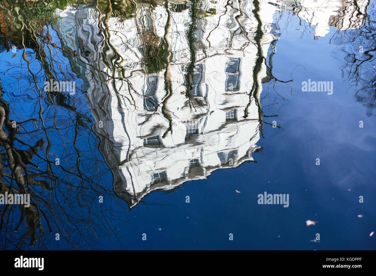Reflection trees in windows hi-res stock photography and images - Alamy