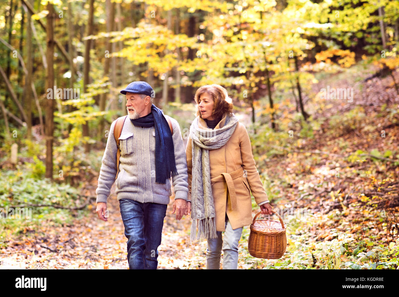 Senior couple on a walk in autumn forest Stock Photo - Alamy