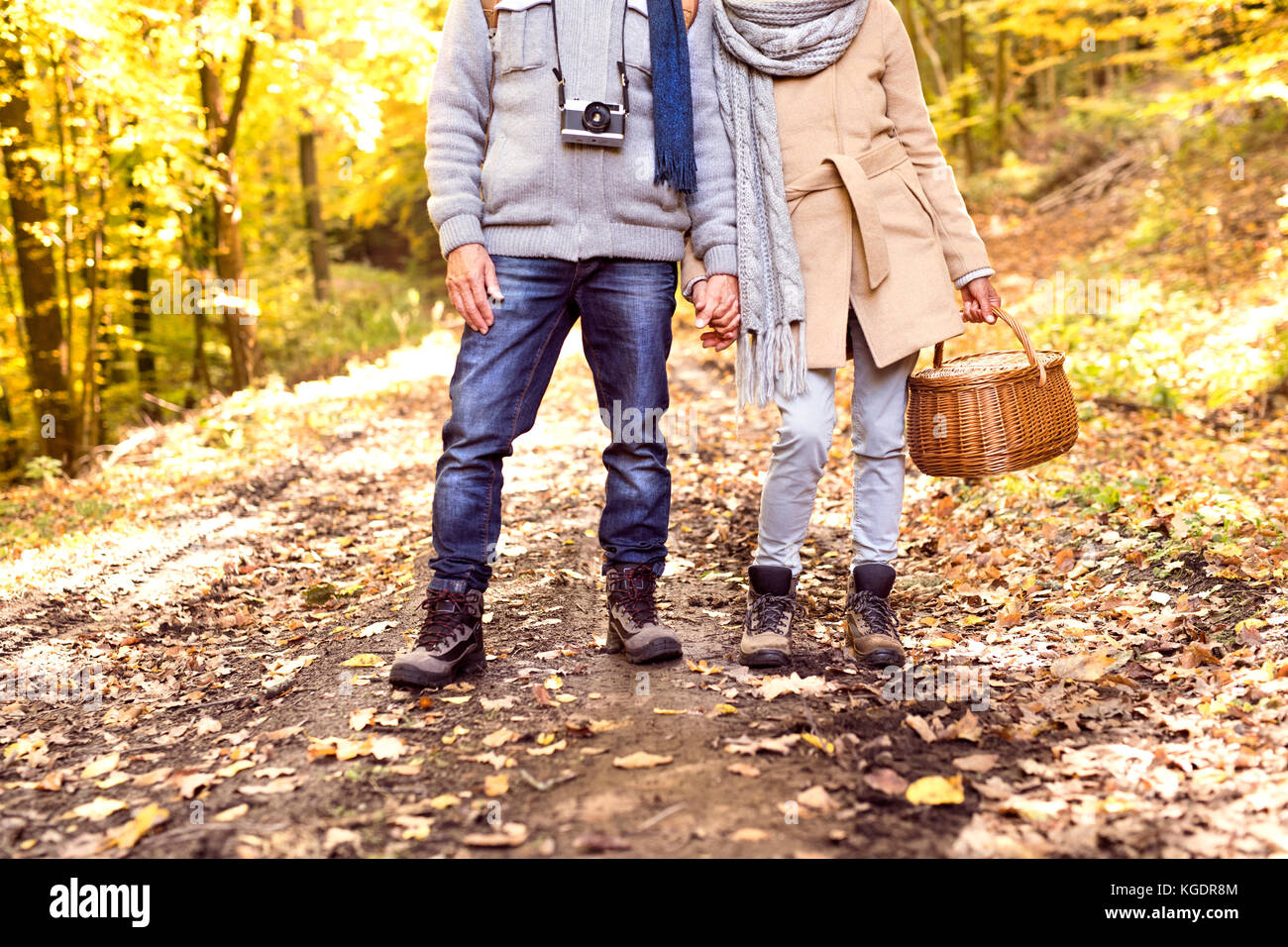 Senior couple on a walk in autumn forest Stock Photo - Alamy