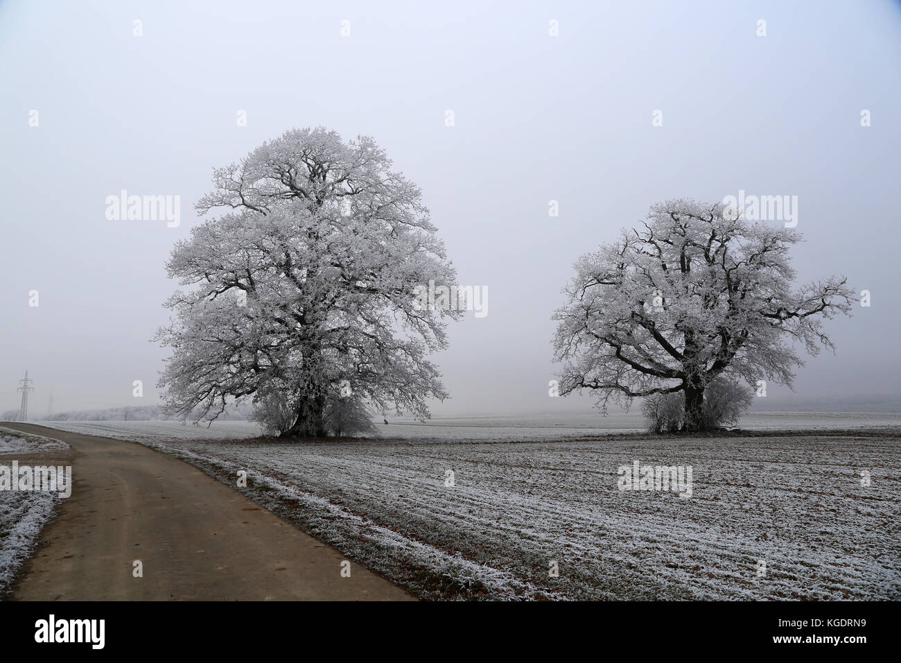 Winter landscape. Fields covered with the first snow Stock Photo - Alamy