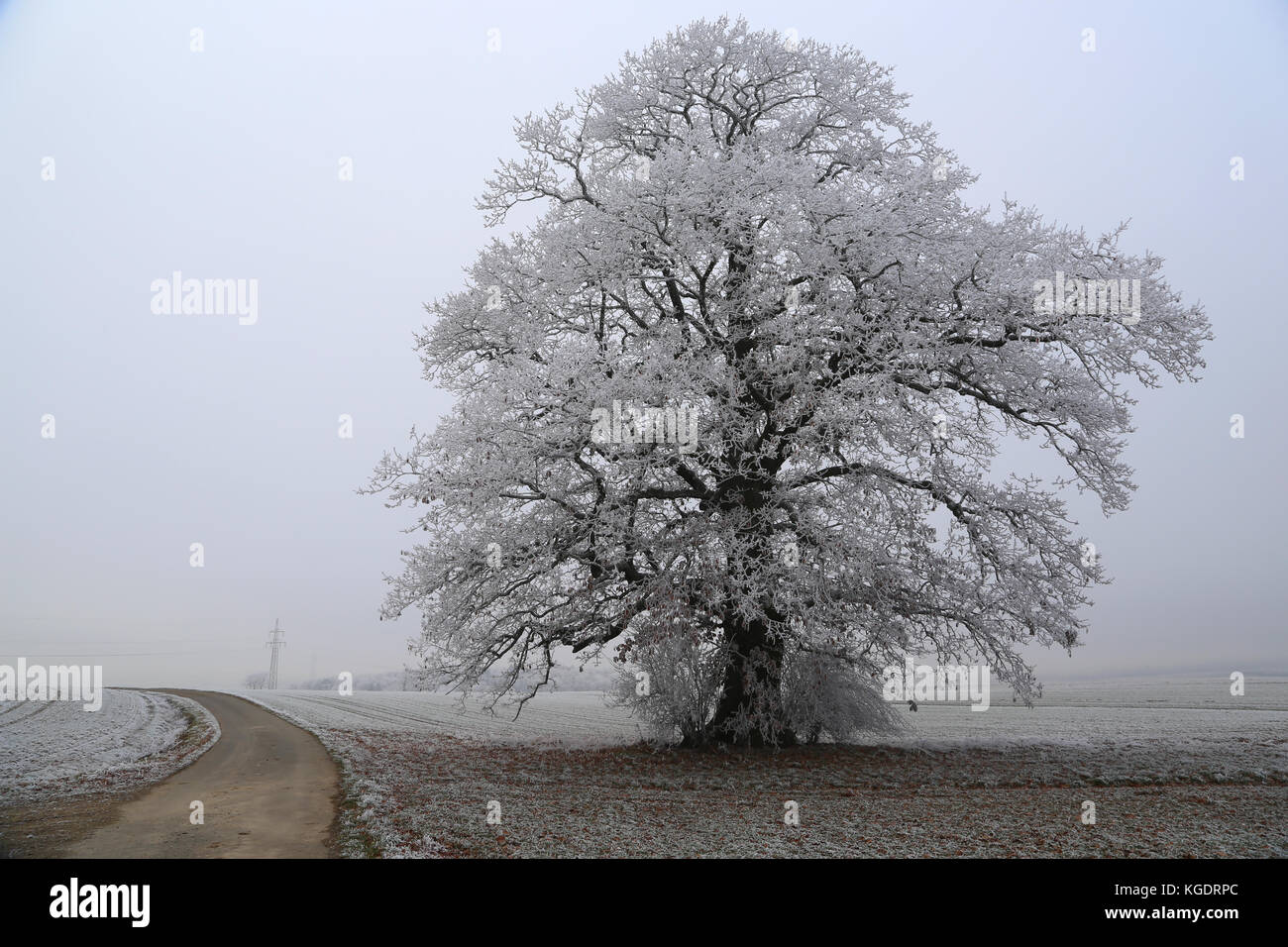 Winter landscape. Fields covered with the first snow Stock Photo - Alamy