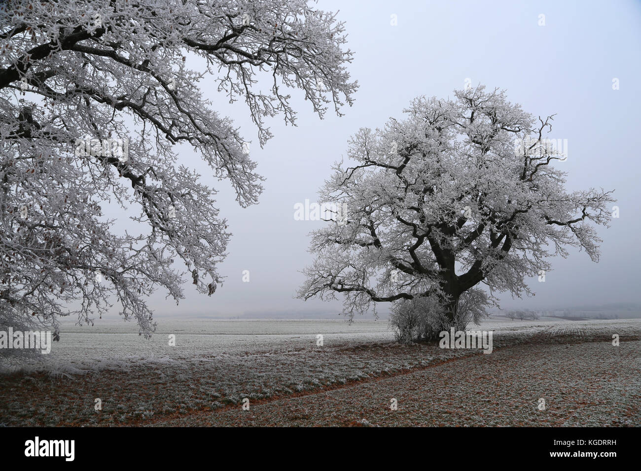 Winter landscape. Fields covered with the first snow Stock Photo - Alamy