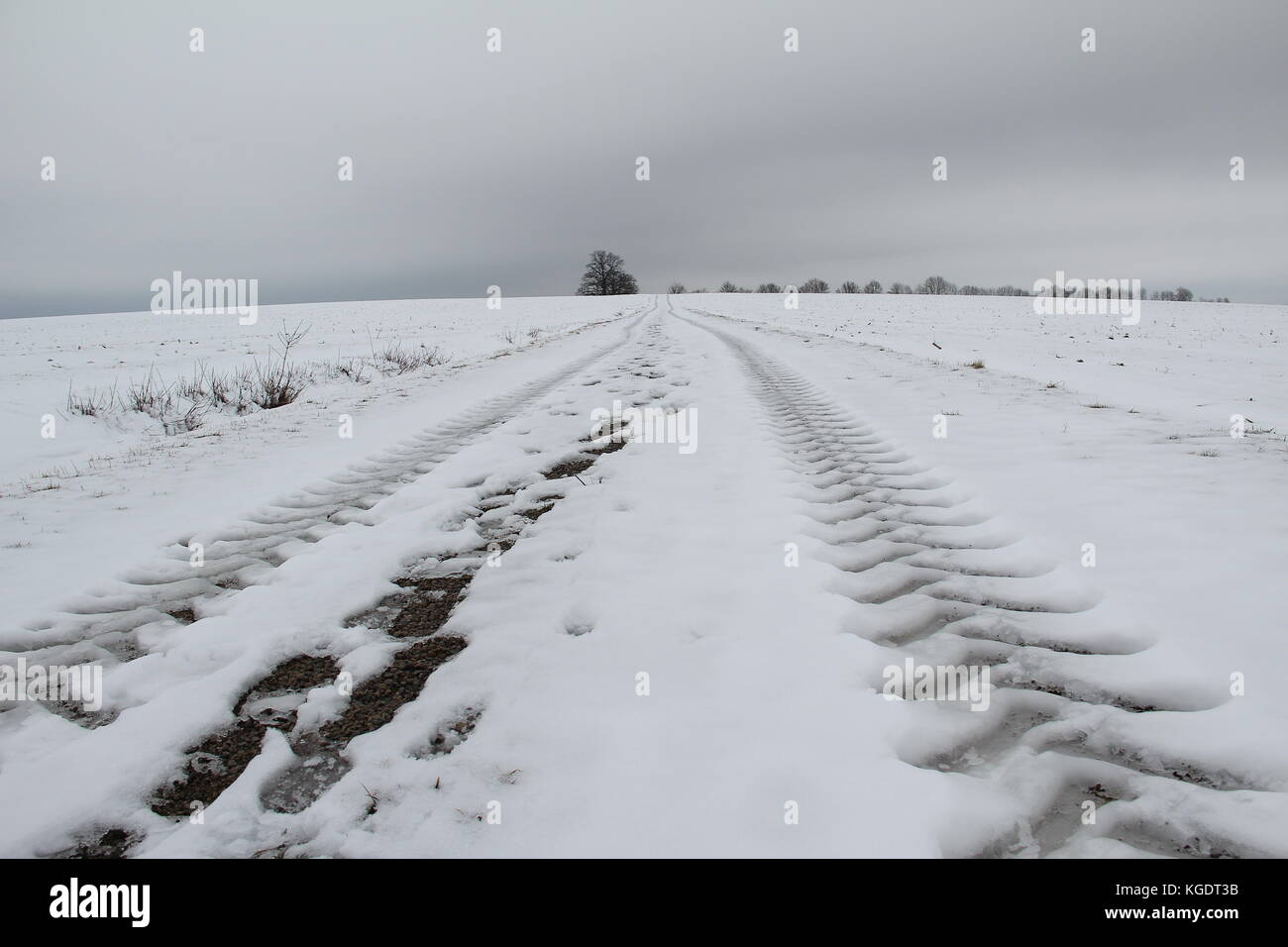 Winter landscape. Fields covered with the first snow Stock Photo - Alamy