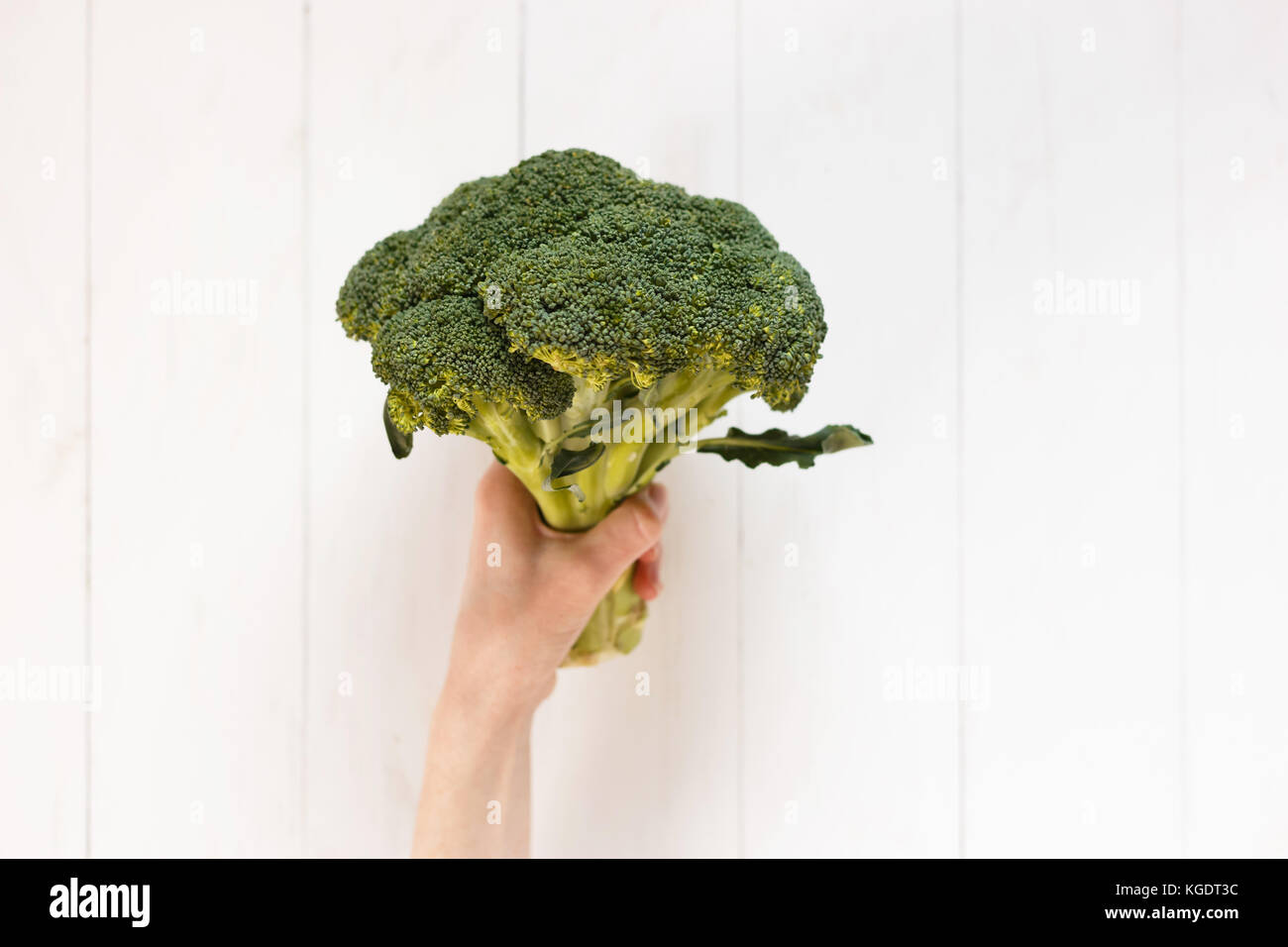 Raw food concept. Woman's hands holding bunch of broccoli over white ...