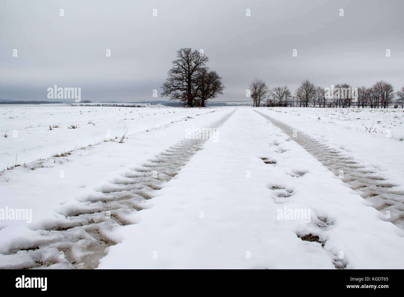 Winter landscape. Fields covered with the first snow Stock Photo - Alamy