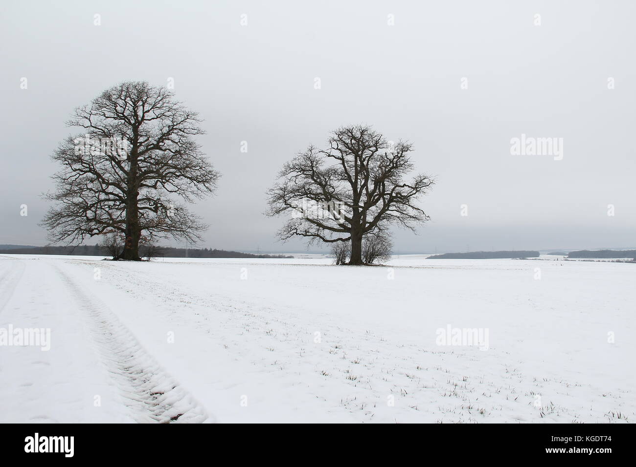 Winter landscape. Fields covered with the first snow Stock Photo - Alamy