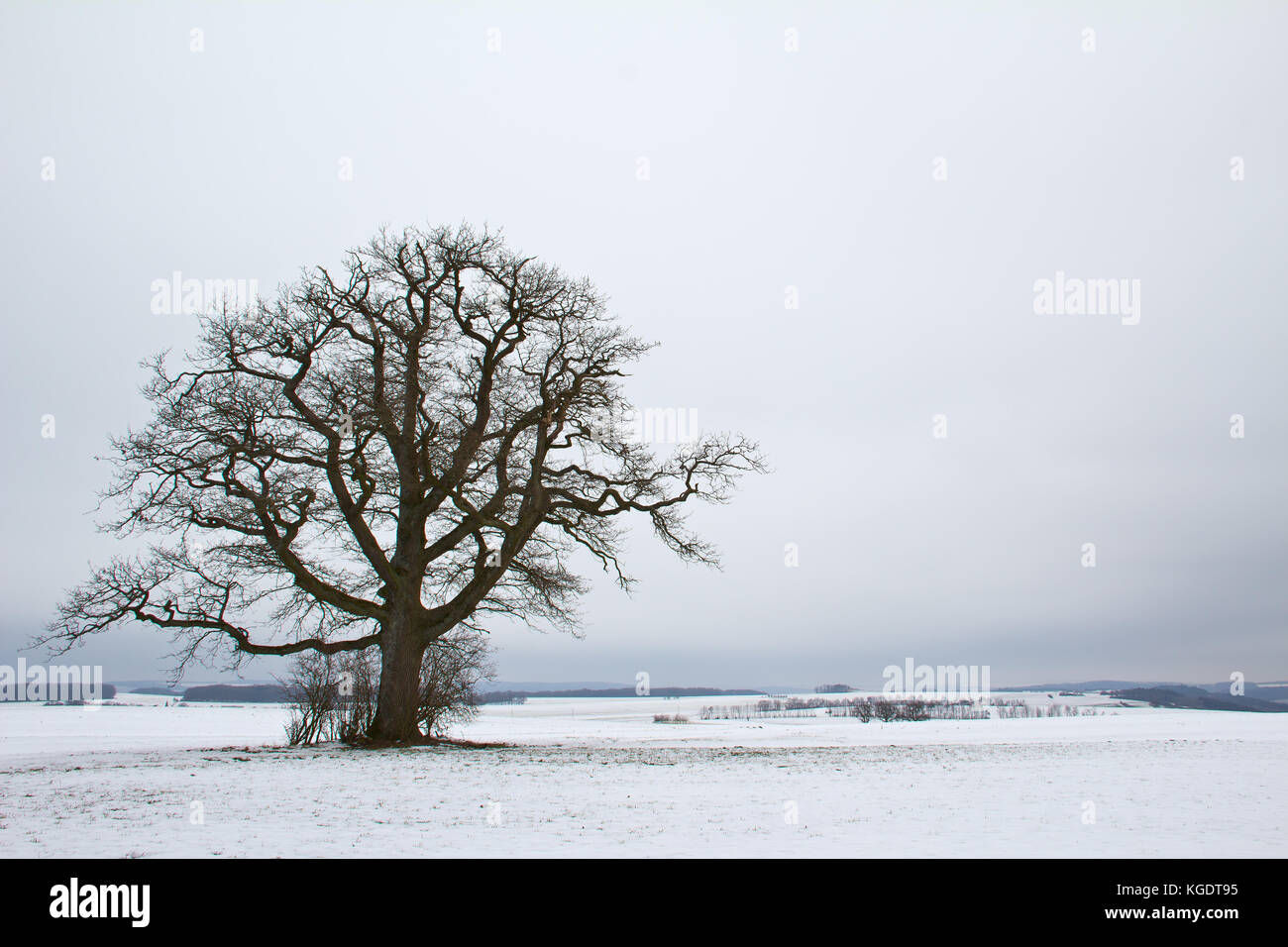 Winter landscape. Fields covered with the first snow Stock Photo - Alamy