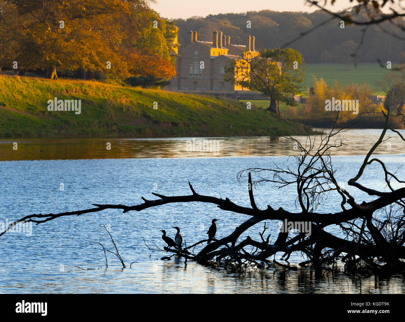 Holkham hall hi-res stock photography and images - Alamy