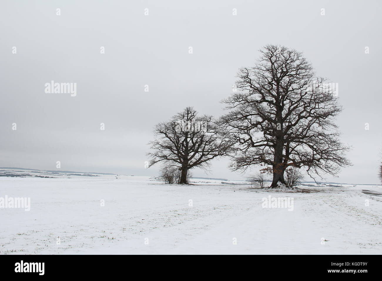 Winter landscape. Fields covered with the first snow Stock Photo - Alamy
