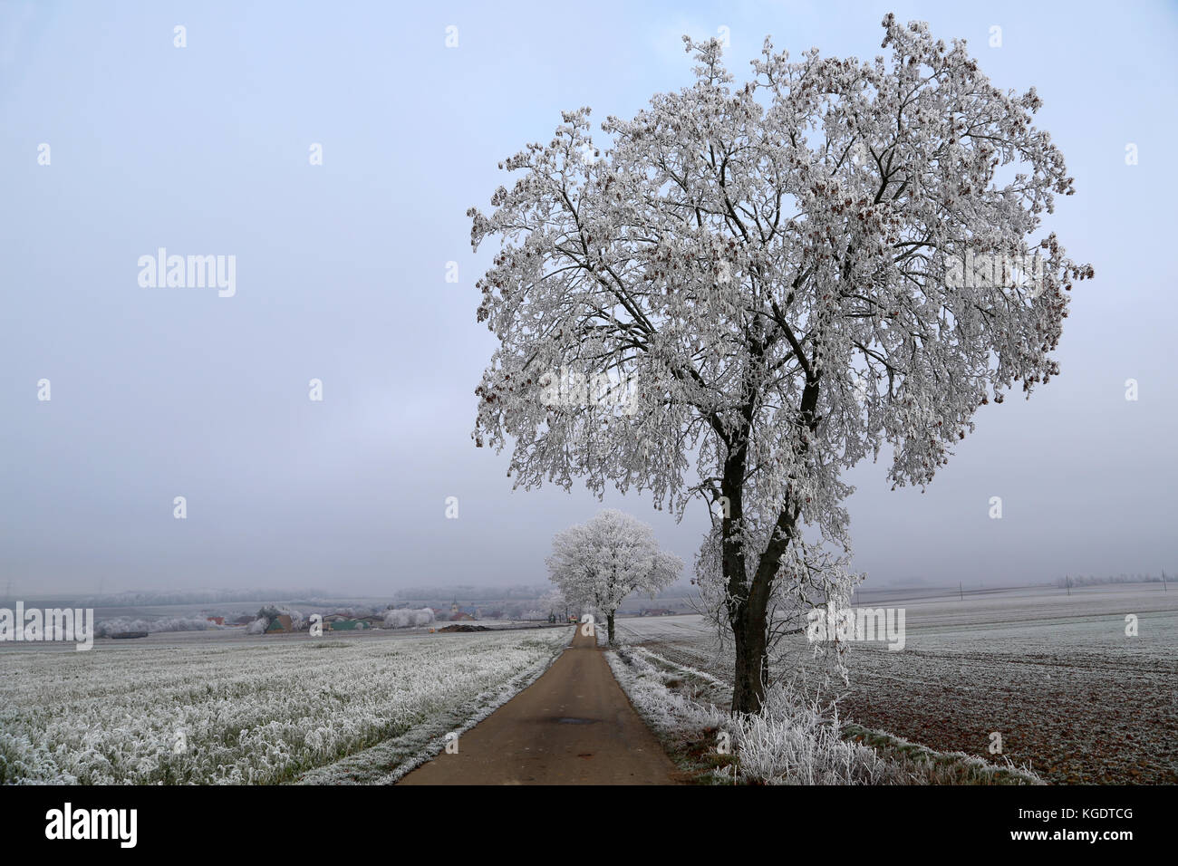 Winter landscape. Fields covered with the first snow Stock Photo - Alamy