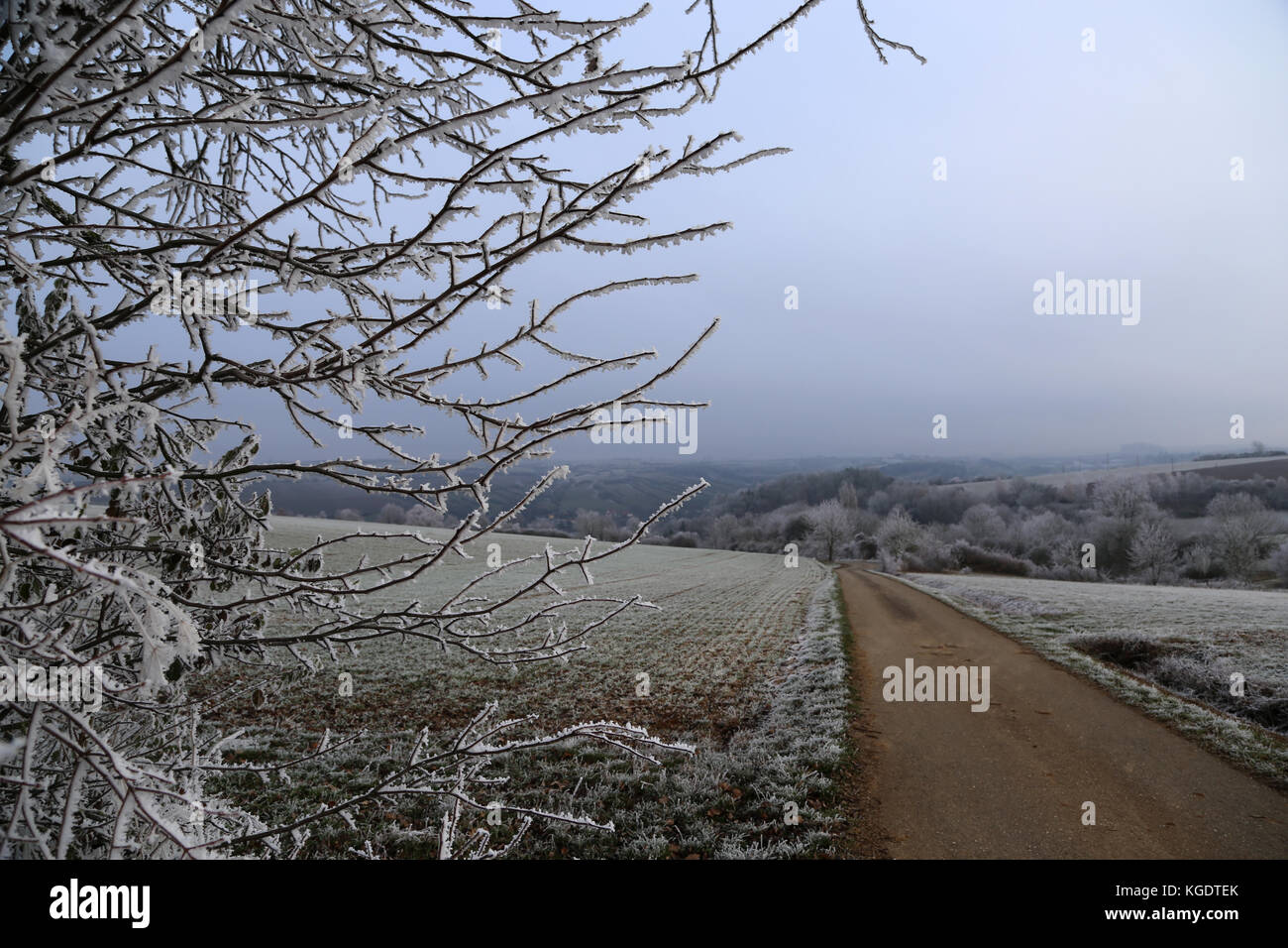 Winter landscape. Fields covered with the first snow Stock Photo - Alamy