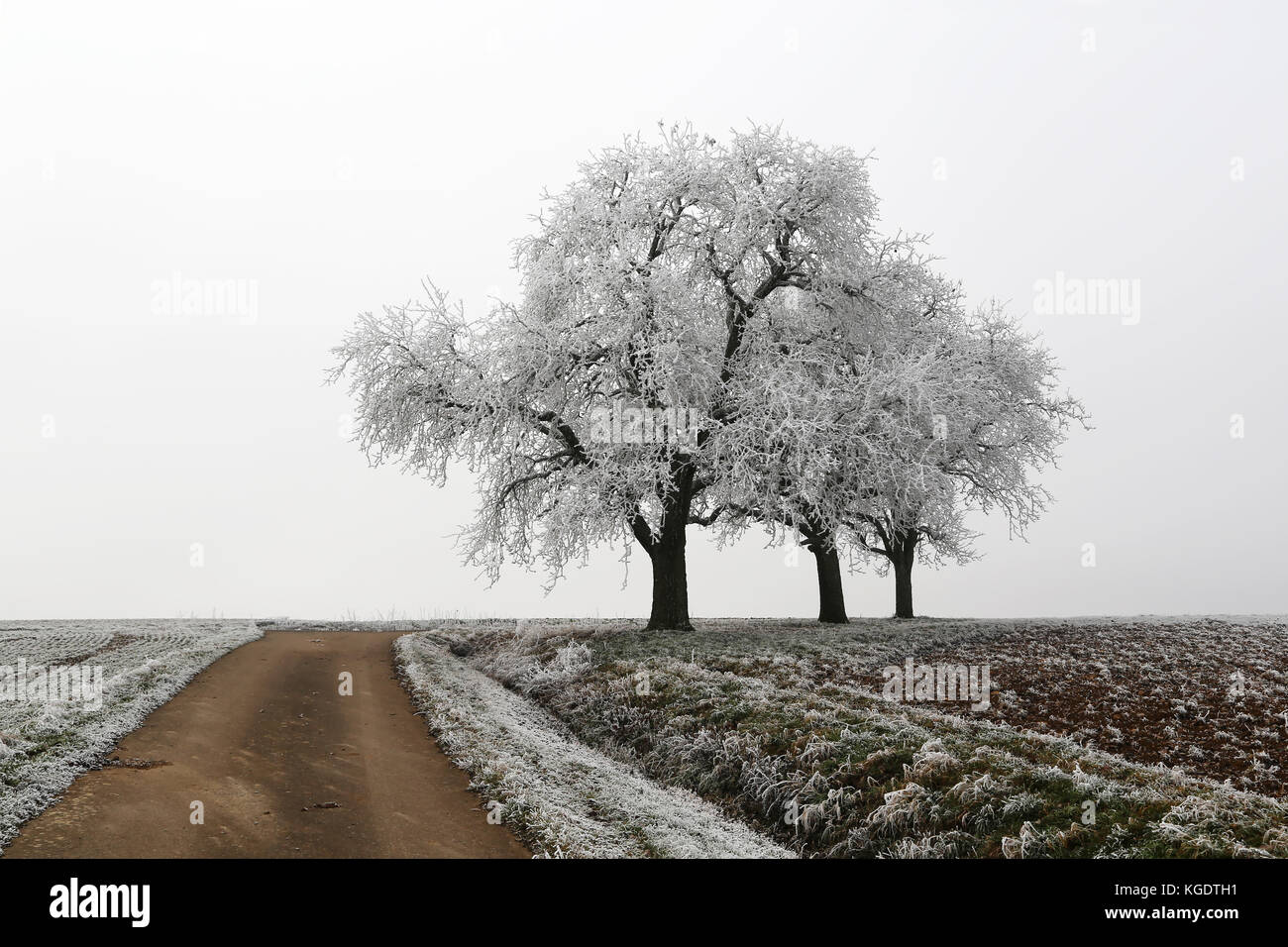 Winter landscape. Fields covered with the first snow Stock Photo - Alamy