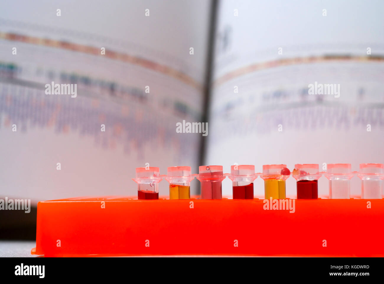 DNA research with graphics charts reference in the background Stock ...