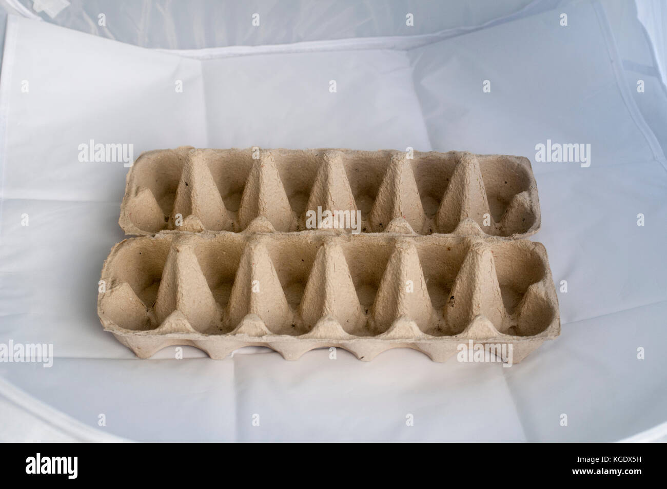 Empty cardboard egg tray for 12 eggs. made from recycled cardboard ...