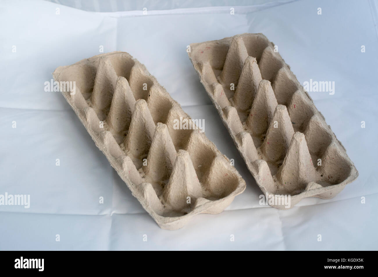 What To Do With Empty Egg Boxes