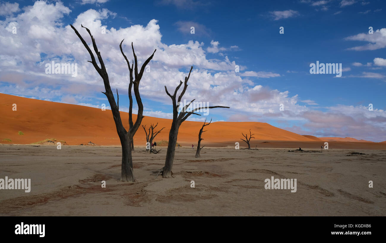 Deadvlei / Dead Valley Namibia Stock Photo - Alamy