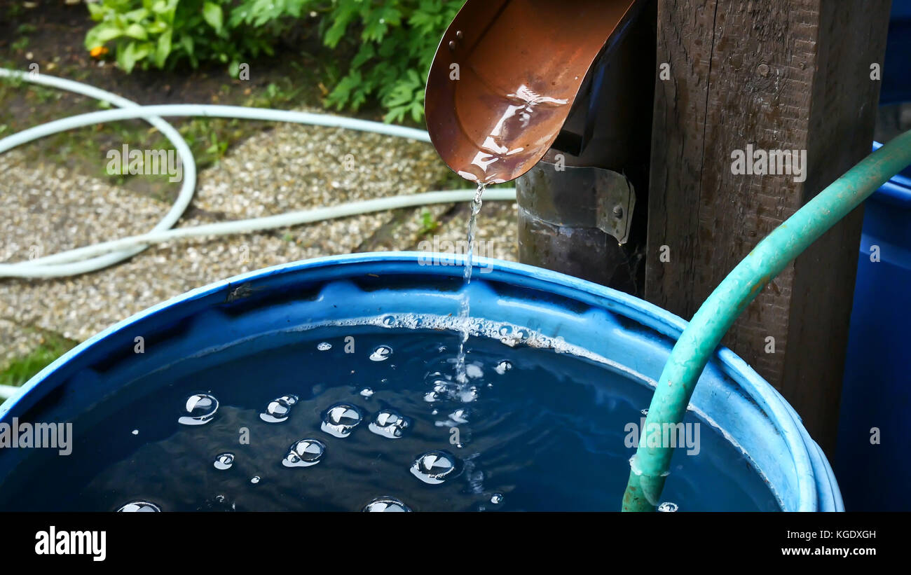 Saving rain water hi-res stock photography and images - Alamy