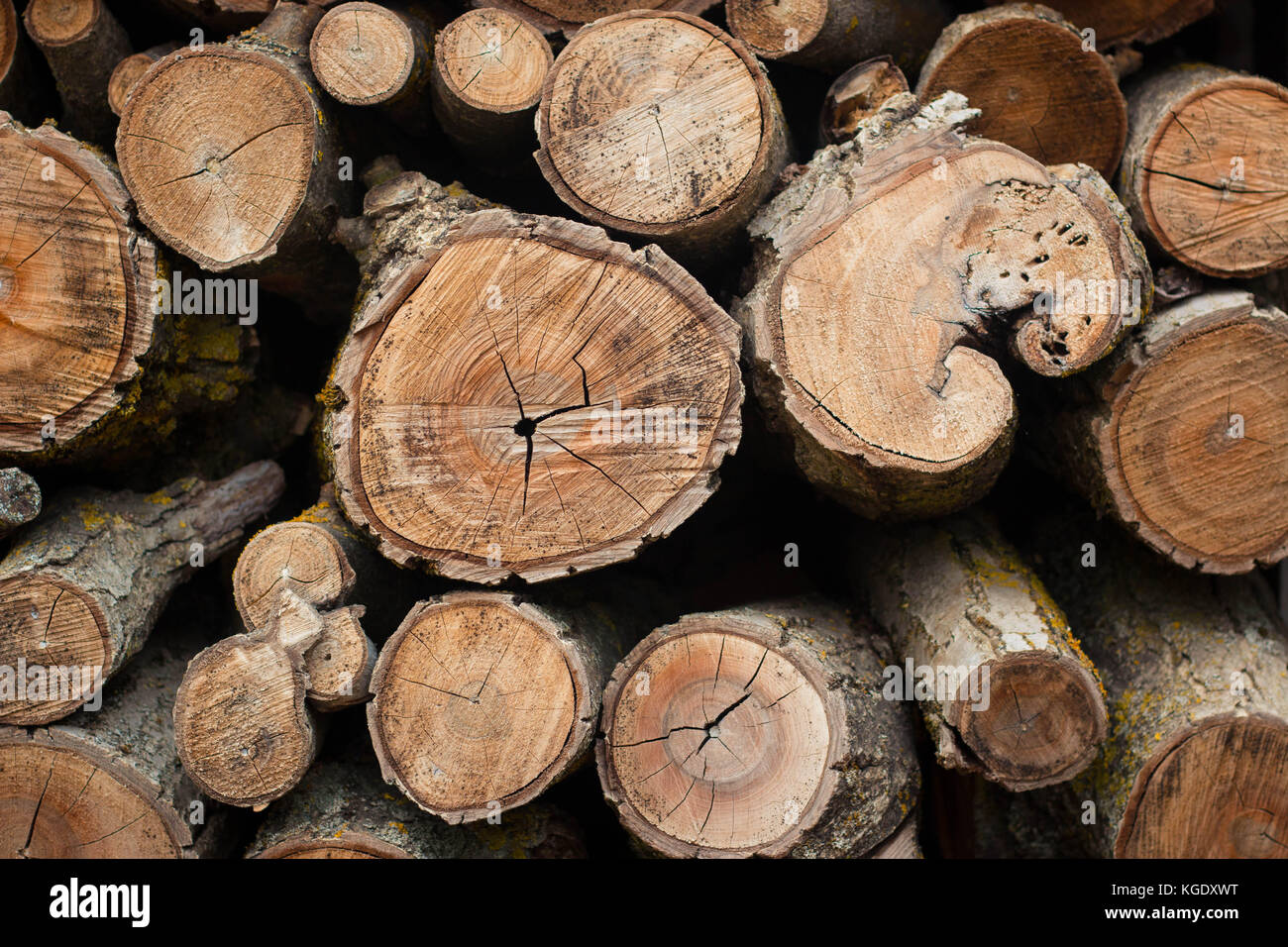 Firewood pattern. Pile of stacked wood logs. Environmental pollution ...