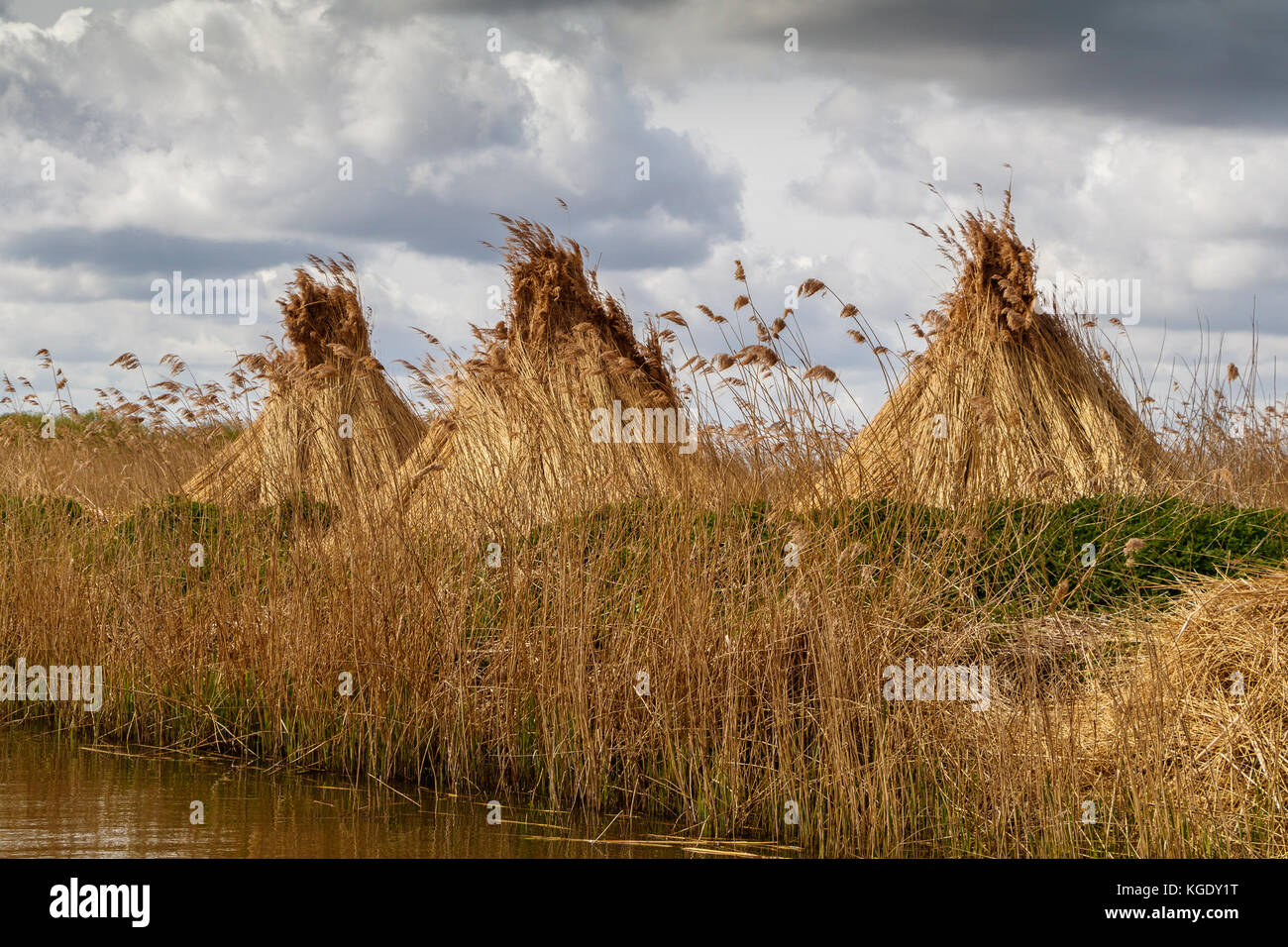 Thatching stooks hi-res stock photography and images - Alamy