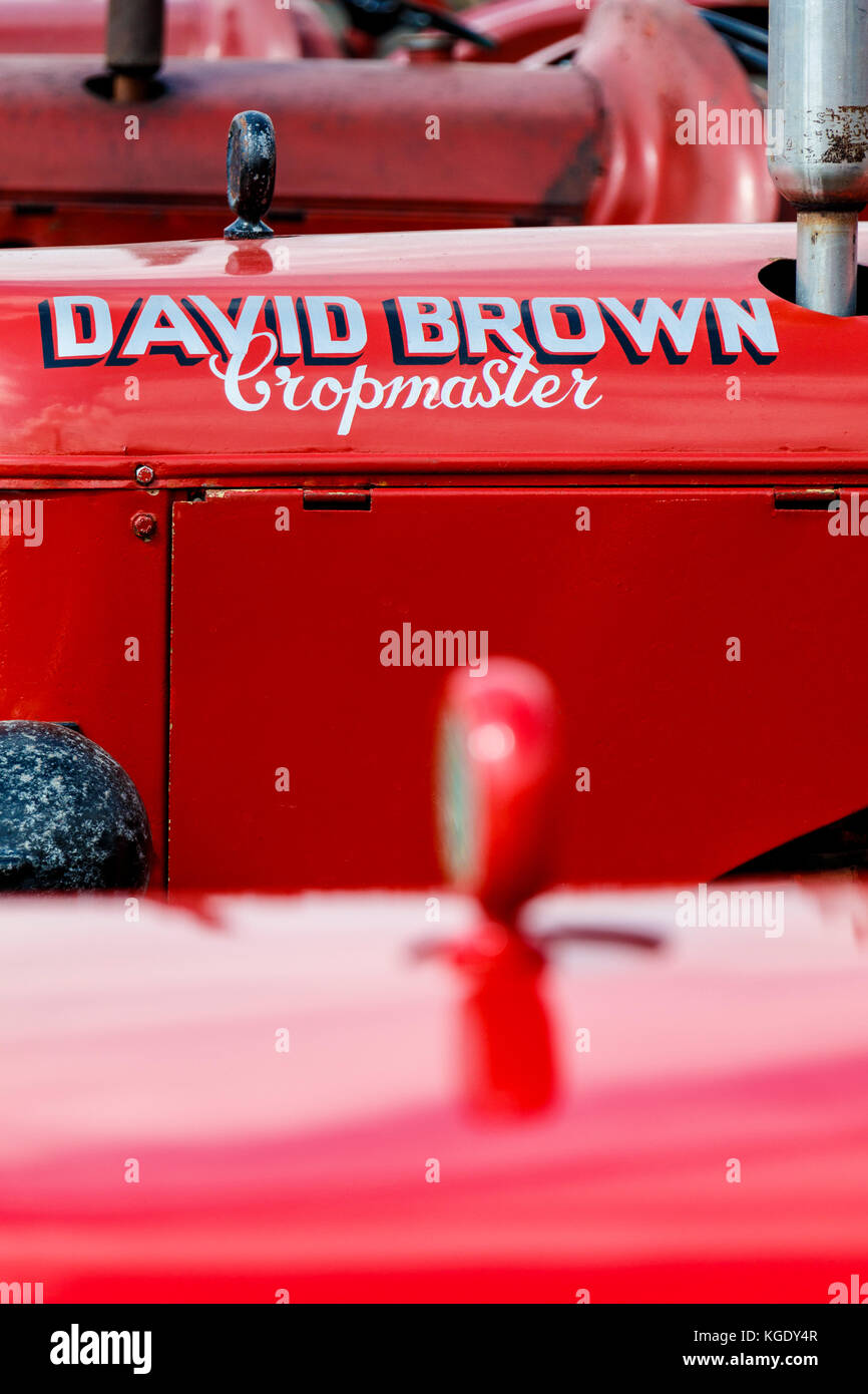 Red David Brown Tractor High Resolution Stock Photography and Images ...