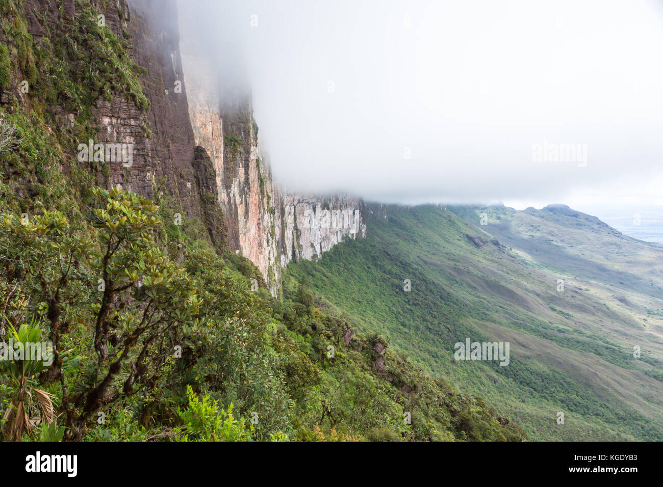 Trekking Mount Roraima Venezuela South America Stock Photo - Alamy
