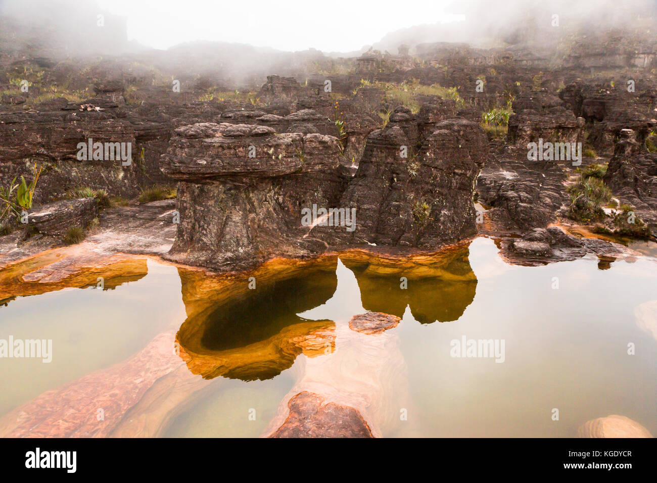 Trekking Mount Roraima Venezuela South America Stock Photo - Alamy