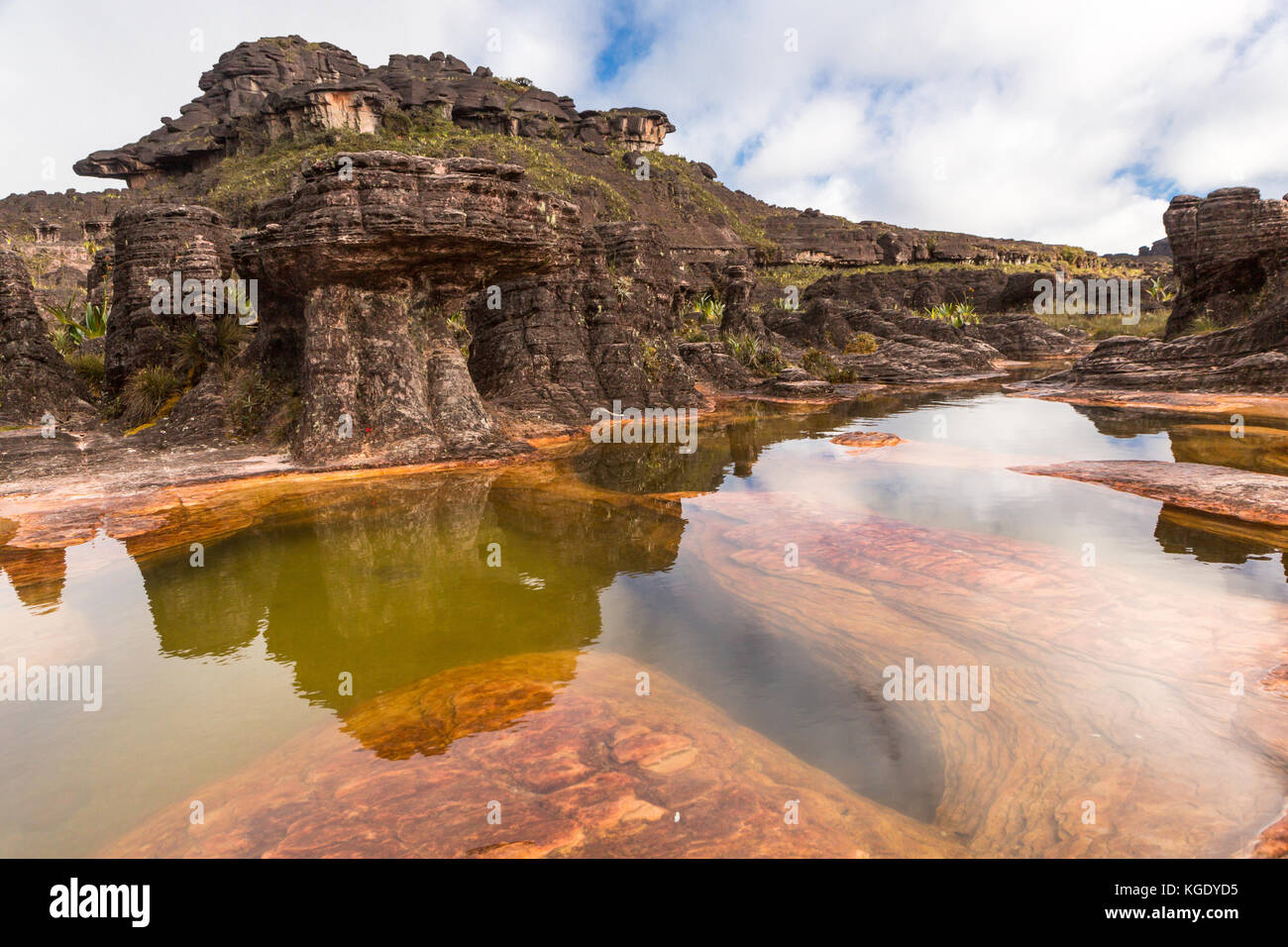 Trekking Mount Roraima Venezuela South America Stock Photo - Alamy